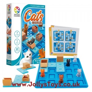 Cats & Boxes Brain Puzzle - JollysToys.co.uk